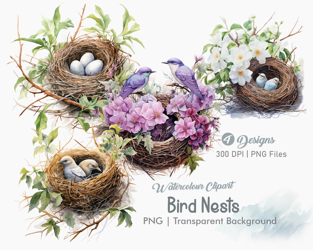 Bird Nests Clipart, Floral Nest PNG, Spring Bird Nest Clipart, Junk ...