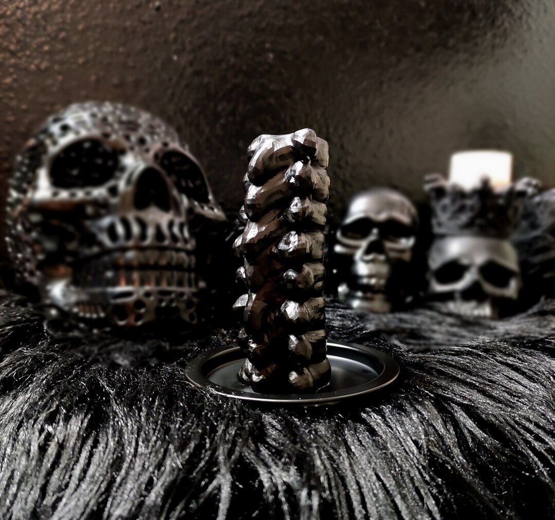 Human VERTEBRAE Spine Decoration • Resin Spinal Column • Many Colors ...