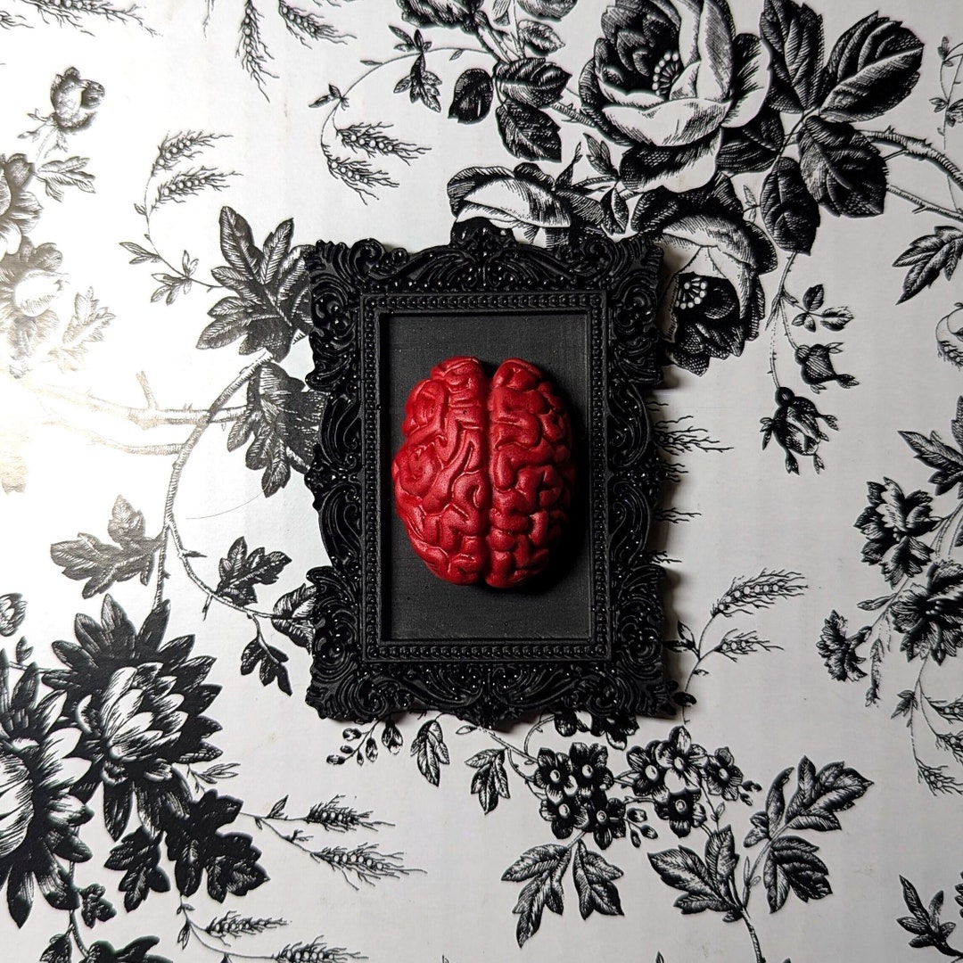 3.8" 2-colored Mini Framed Victorian Gothic BRAIN PLAQUE • 3D Brain ...