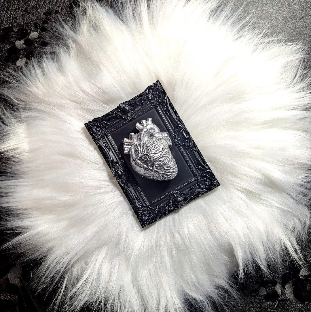 4.5" Framed Victorian Gothic Anatomical Heart Plaque • Realistic 3D ...