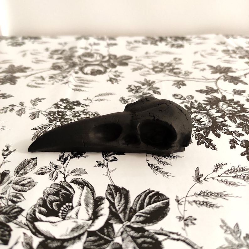 Mini CROW SKULL FIGURINE Realistic Resin Bird Skull Many - Etsy
