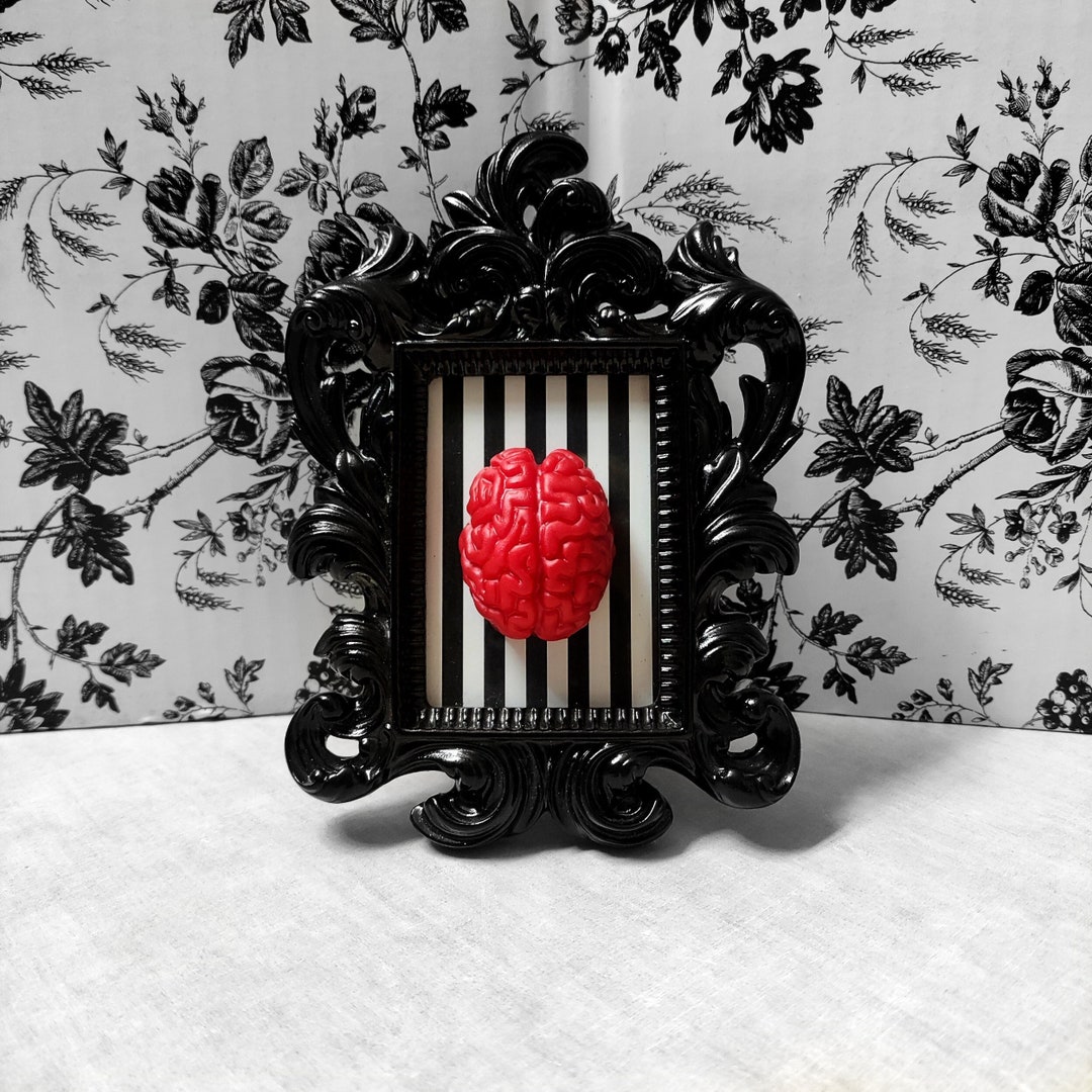 Custom 3D Anatomical Human Brain Wall Art in Baroque Frame • Spooky ...
