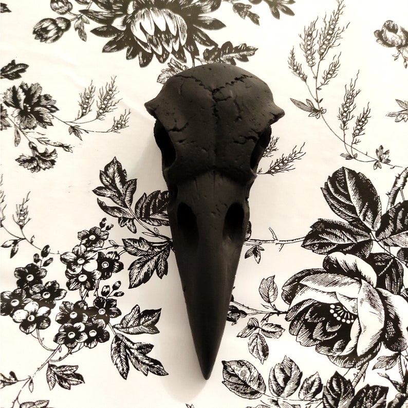 Mini CROW SKULL FIGURINE Realistic Resin Bird Skull Many - Etsy