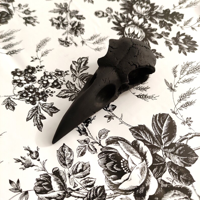 Mini CROW SKULL FIGURINE Realistic Resin Bird Skull Many - Etsy
