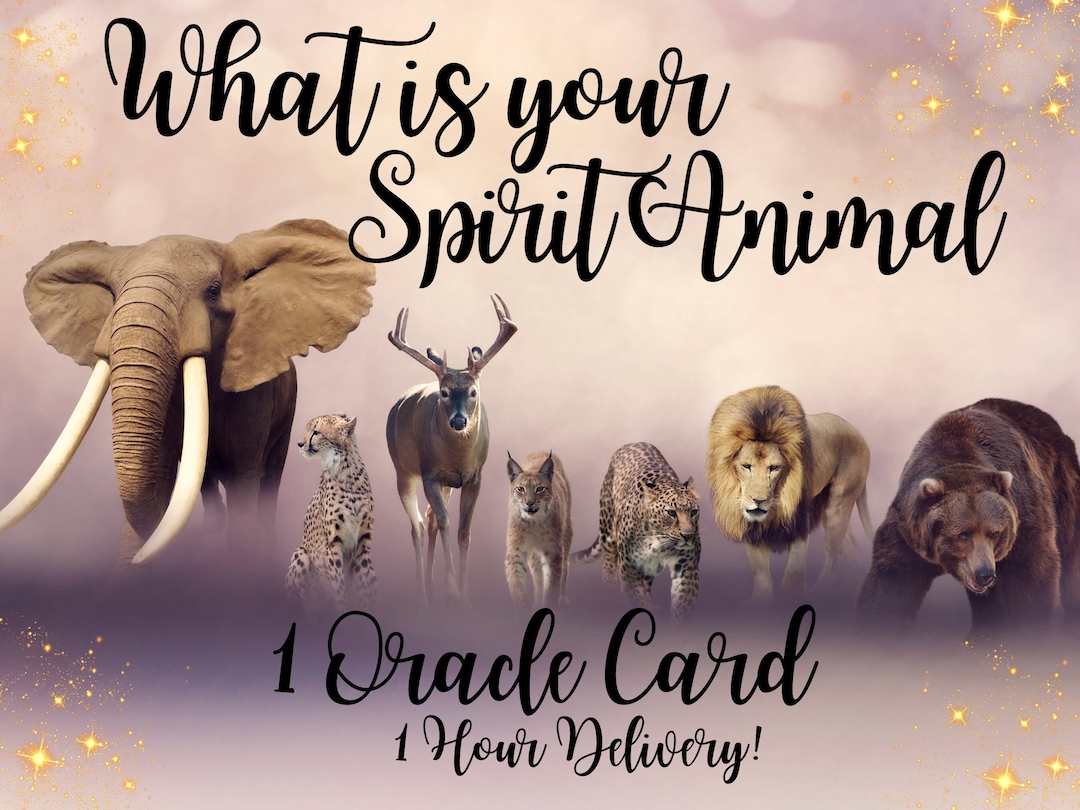 Spirit Animal Oracle Reading, What is My Spirit Animal? Let's Find Out ...