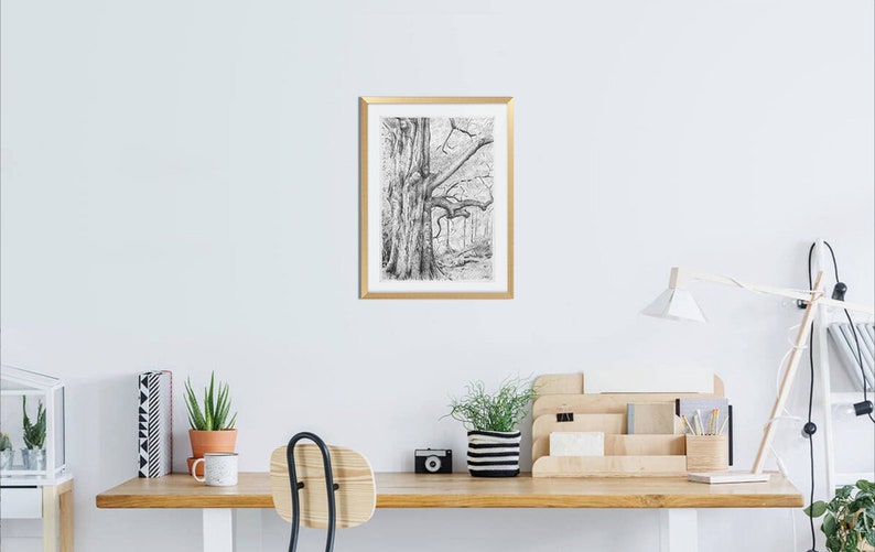 Cratcliff, Beech Tree, Print - Etsy
