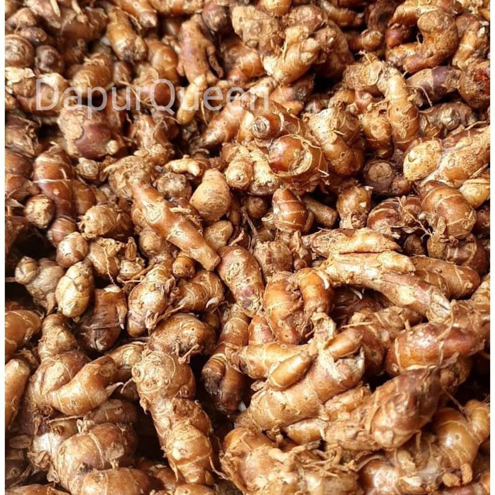 Galangal Powder Premium/ Aromatic Ginger 100 Grams Indonesian Original ...