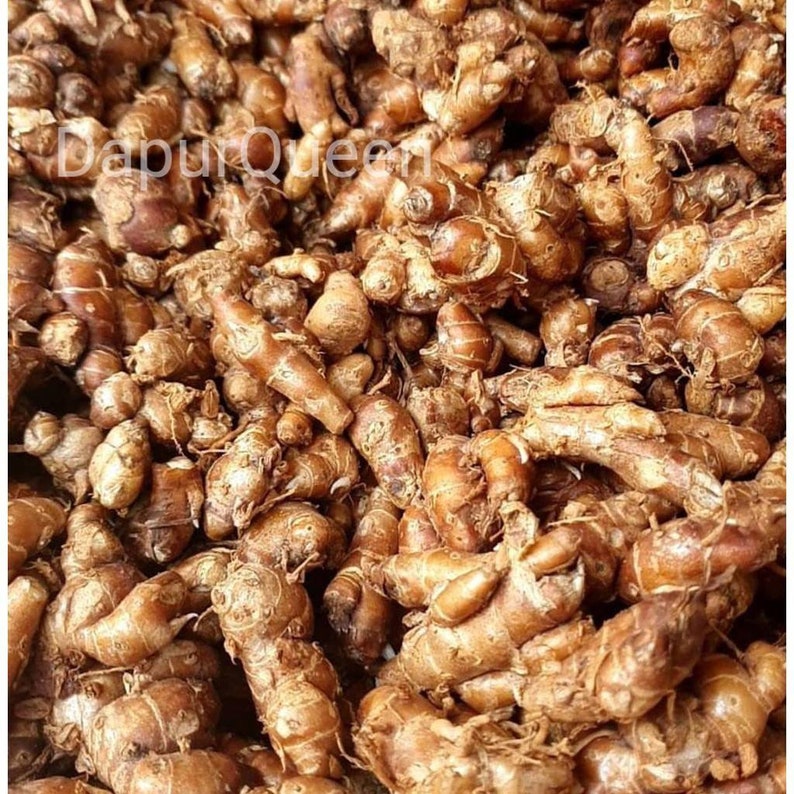 Galangal Powder Premium/ Aromatic Ginger 100 Grams Indonesian Original ...