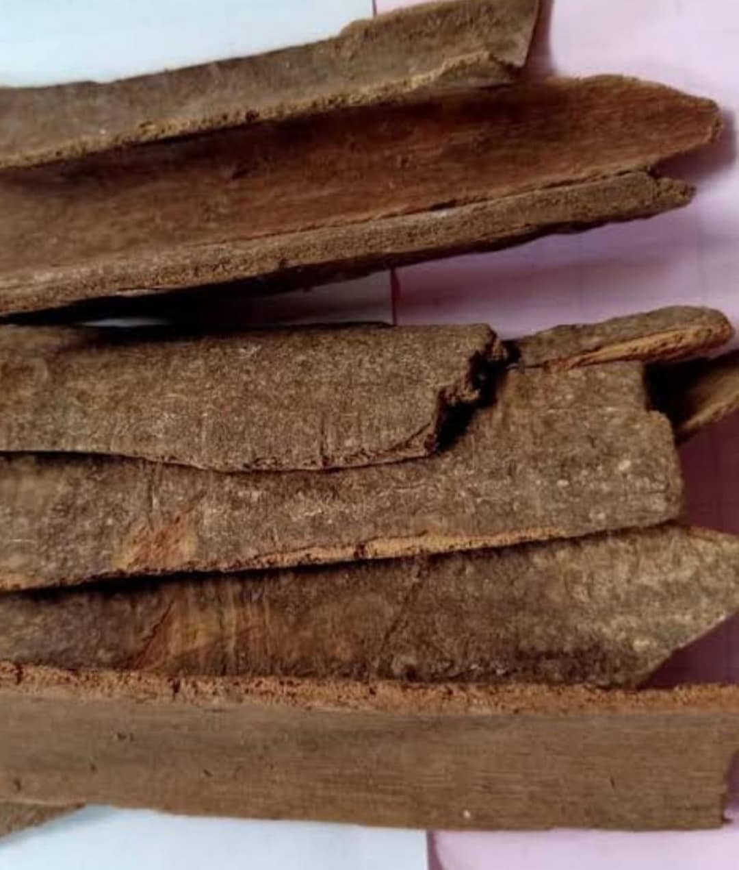 Massoia Bark/masoyi Bark/aikor /masoy/mesoyi/cryptocarya Massoia ...