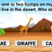 Animal Riddles Game for Grades 2-4 Interactive Google Slides Activity ...