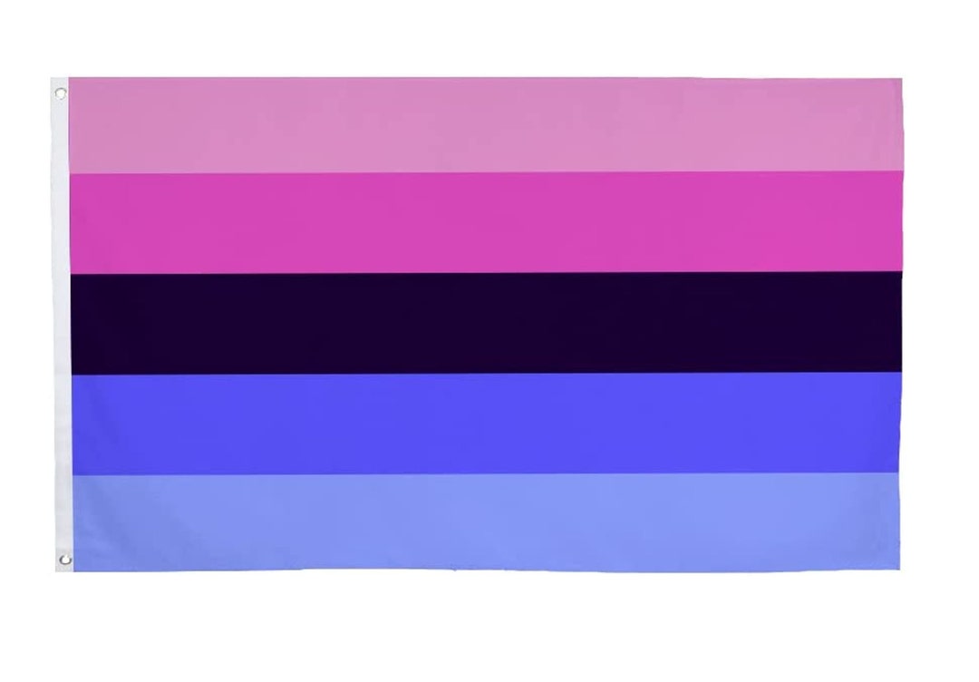 Omnisexual Pride Flag 3x5 Gay Omnisexual Pride Flag Etsy