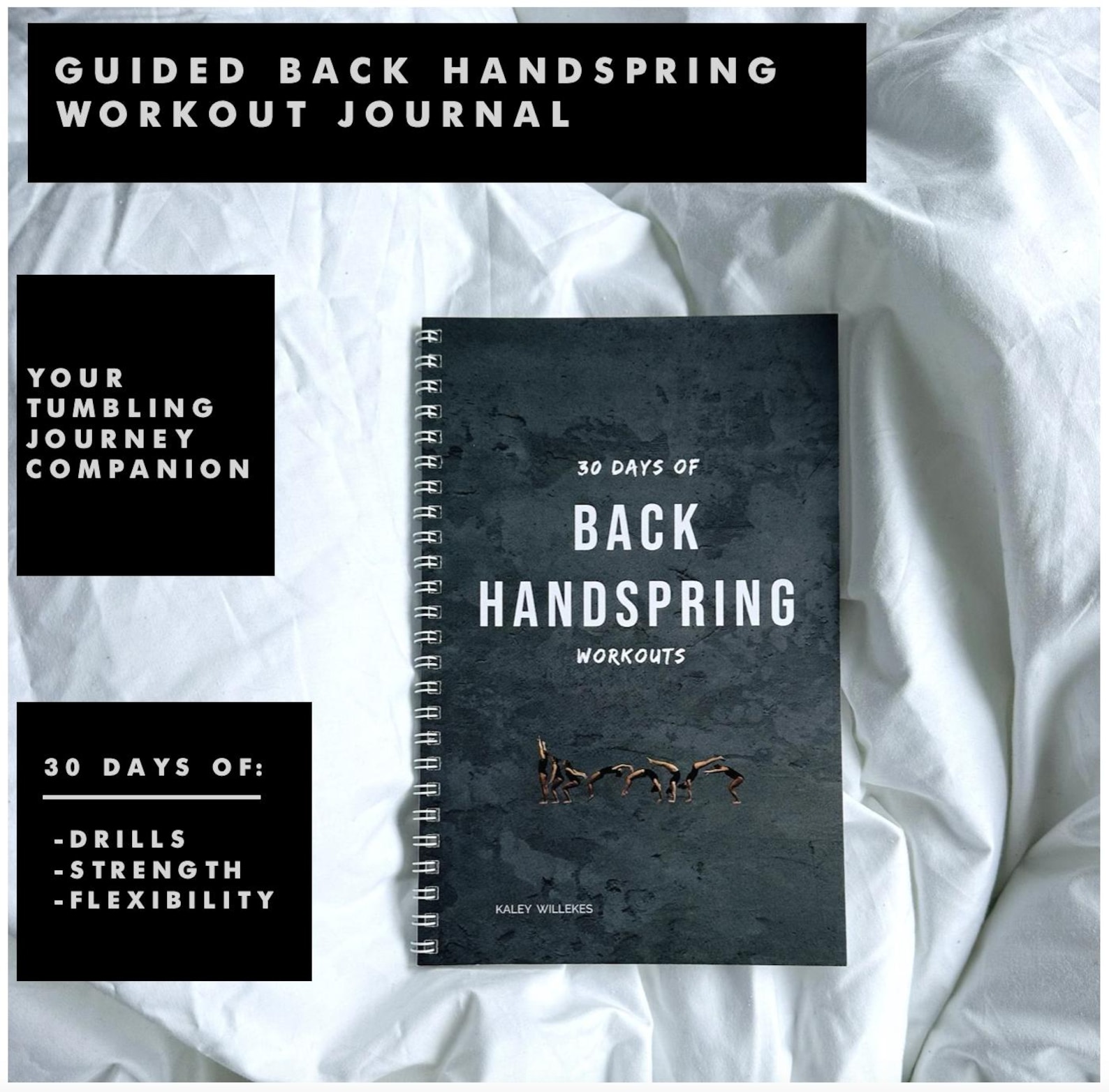 30 Back Handspring Workouts, Dance Workout Guide, Gymnastics Training ...