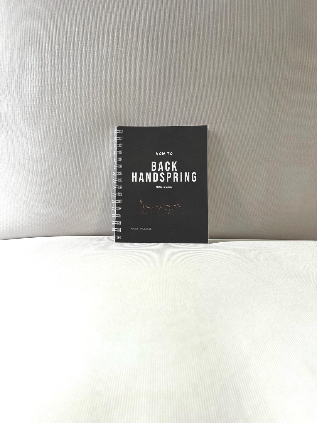 Back Handspring Guide, Dance Training Guide, Dance Workout Plan ...