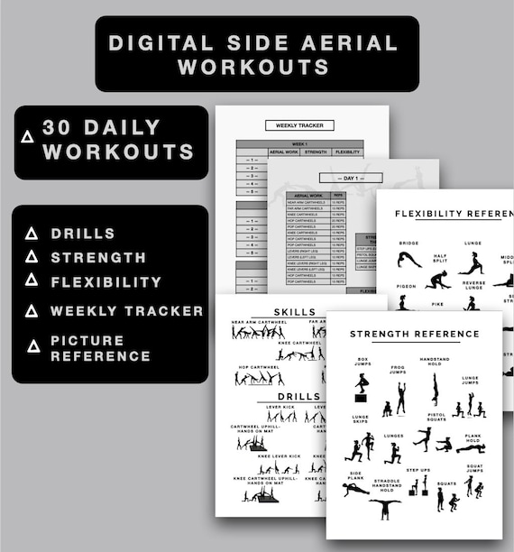 Printable Insanity Fit Test