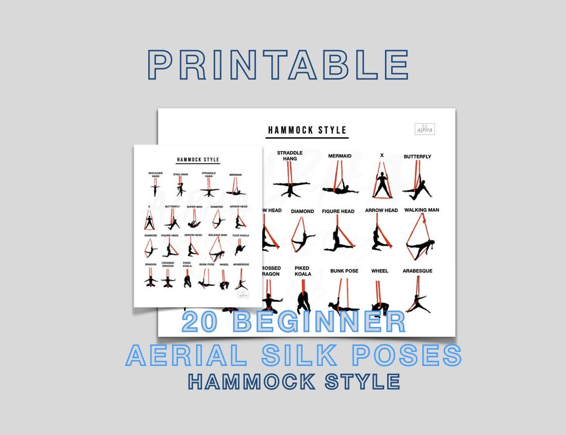 20 Beginner Aerial Silk Poses, Printable PDF for Aerialists, Dancers ...