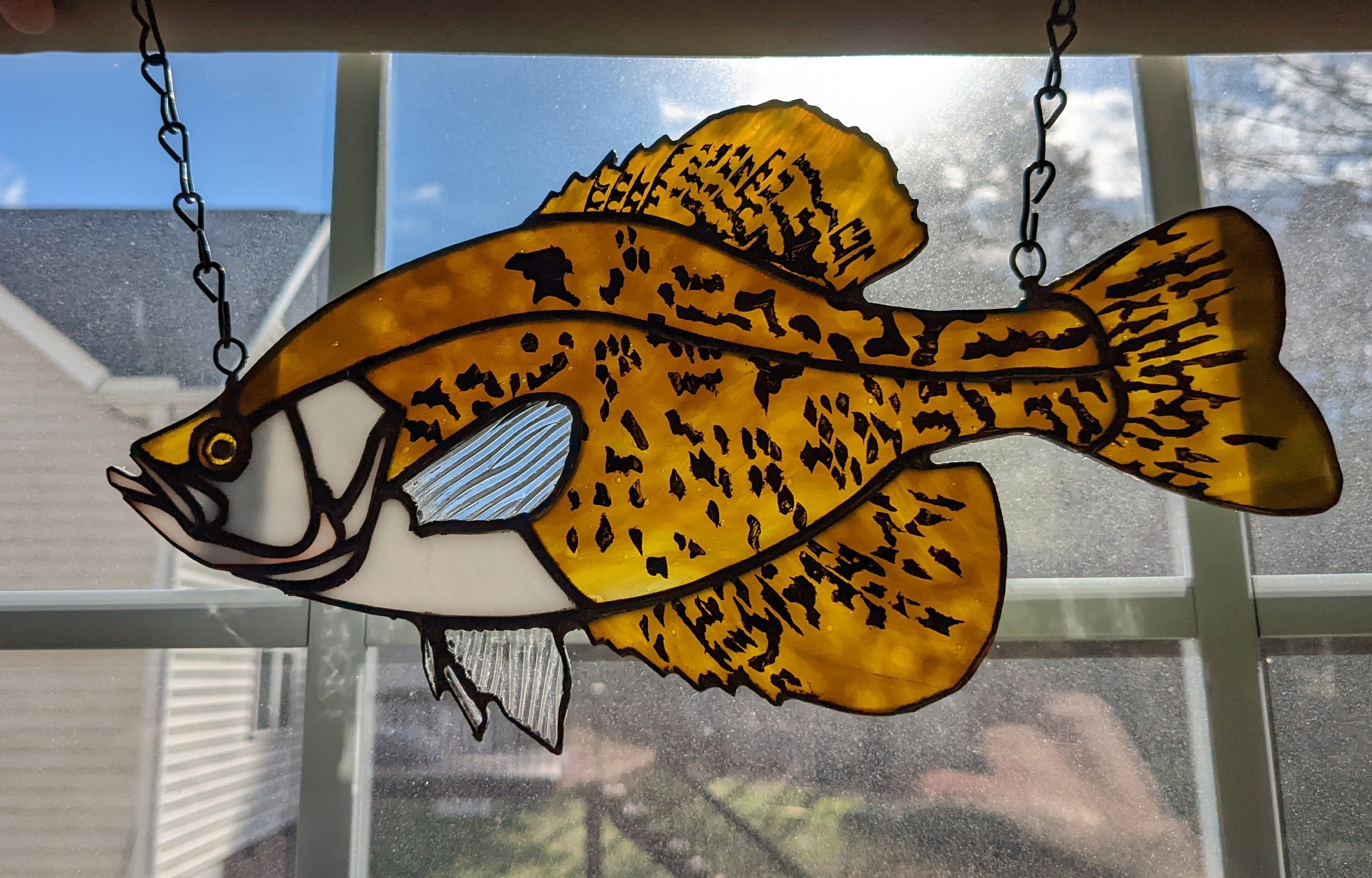 Stained Glass PDF Pattern of Black Crappie Fish Large Suncatcher - Etsy