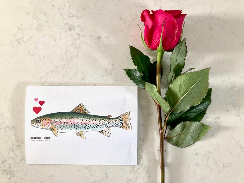 Digital Download Print Rainbow Trout Anniversary Card, Fish Print ...
