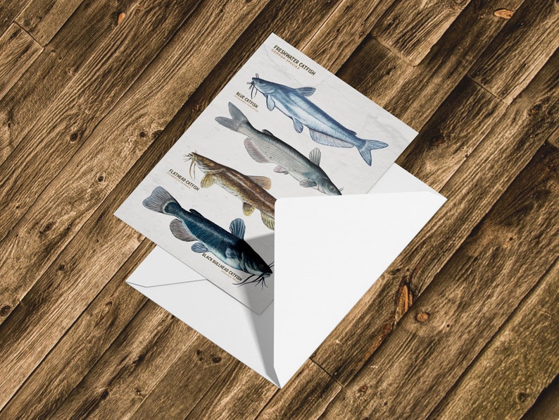 Catfish Card, Fish Print, Multi-species Catfish Print, Catfish Fish ...