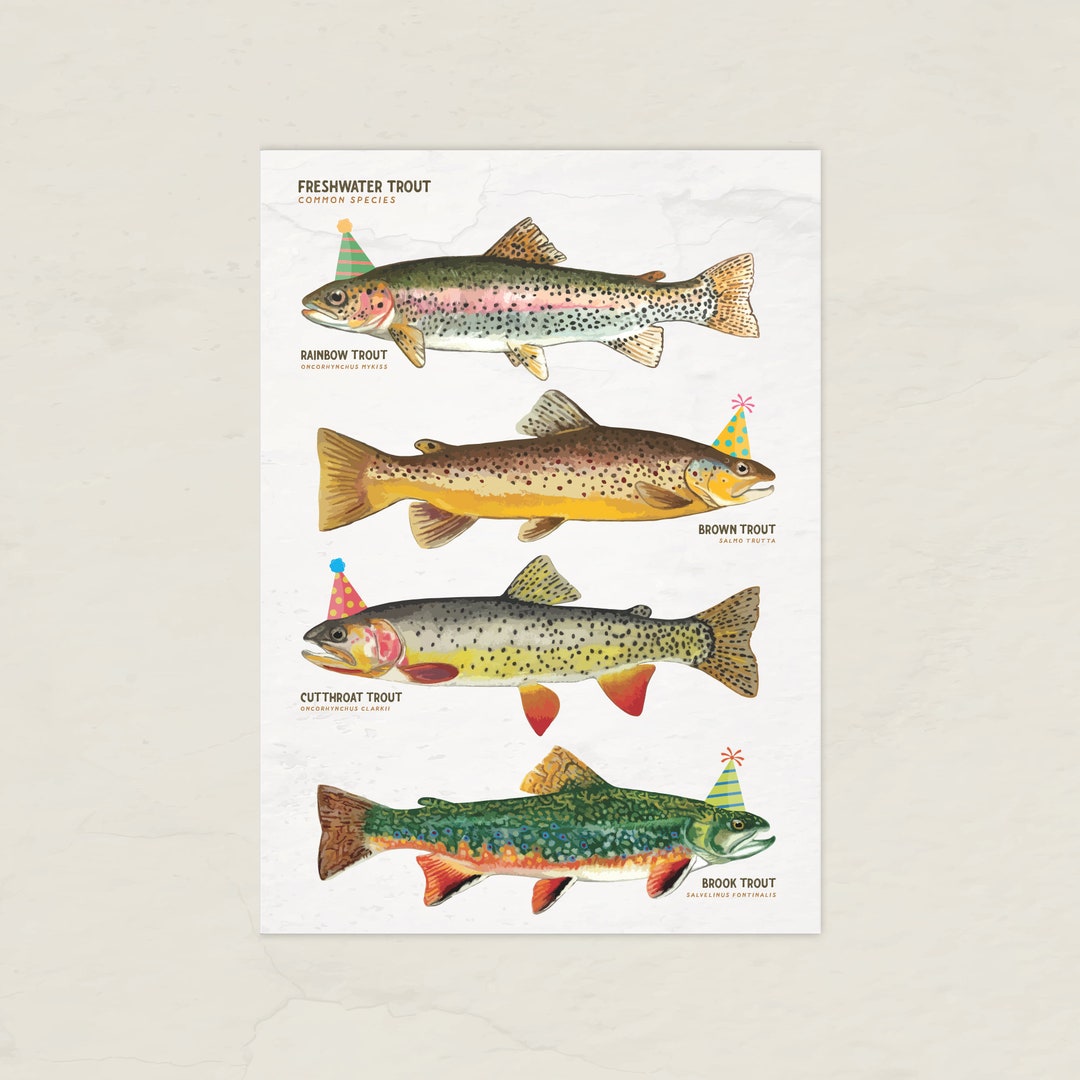 Birthday Trout 5x7 Card Print: Freshwater Trout Art Print, Rainbow ...