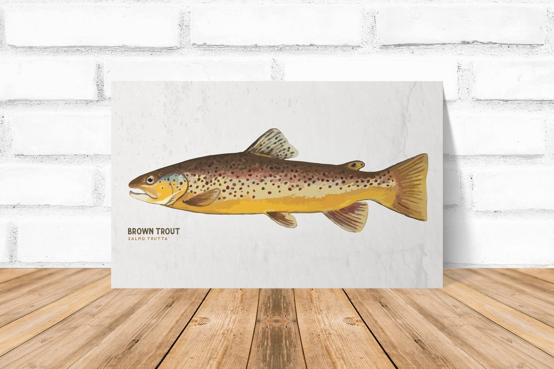 Brown Trout Art Card 5x7: Fish Graphic Print • Digital Download - Etsy ...