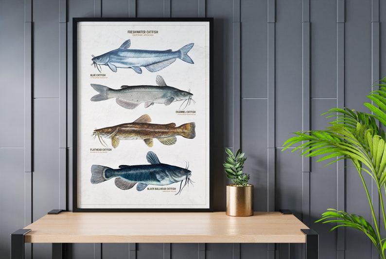 Digital Download Print Catfish Wall Art Poster Fish Print, Fish Print ...