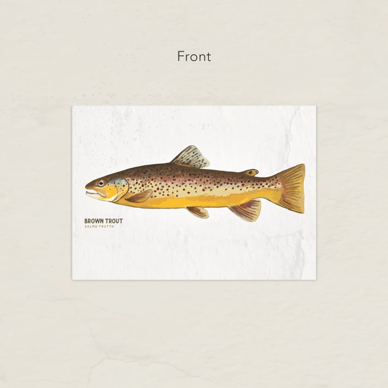 Brown Trout Art Card 5x7: Fish Graphic Print • Digital Download - Etsy ...