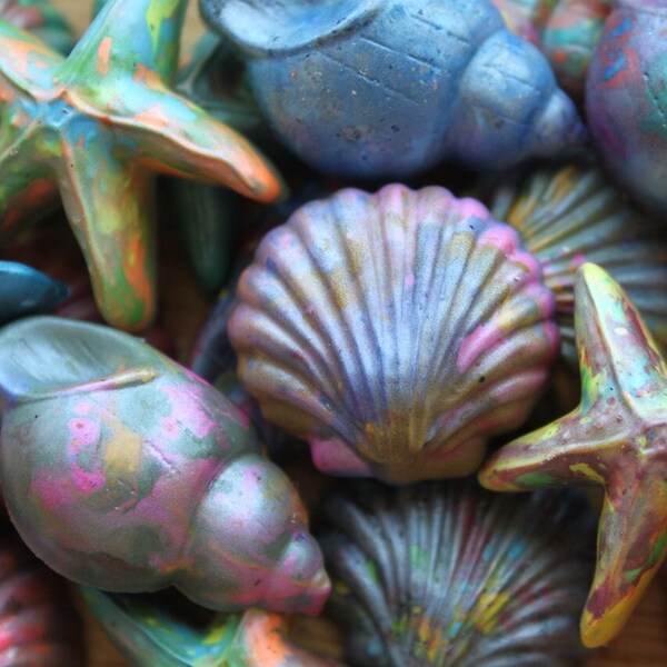 Seashell Art - Etsy
