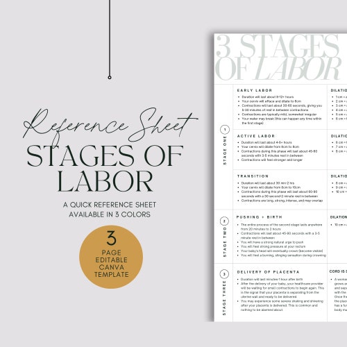 Labor Process Stages of Labor Handout Printable PDF Birth - Etsy