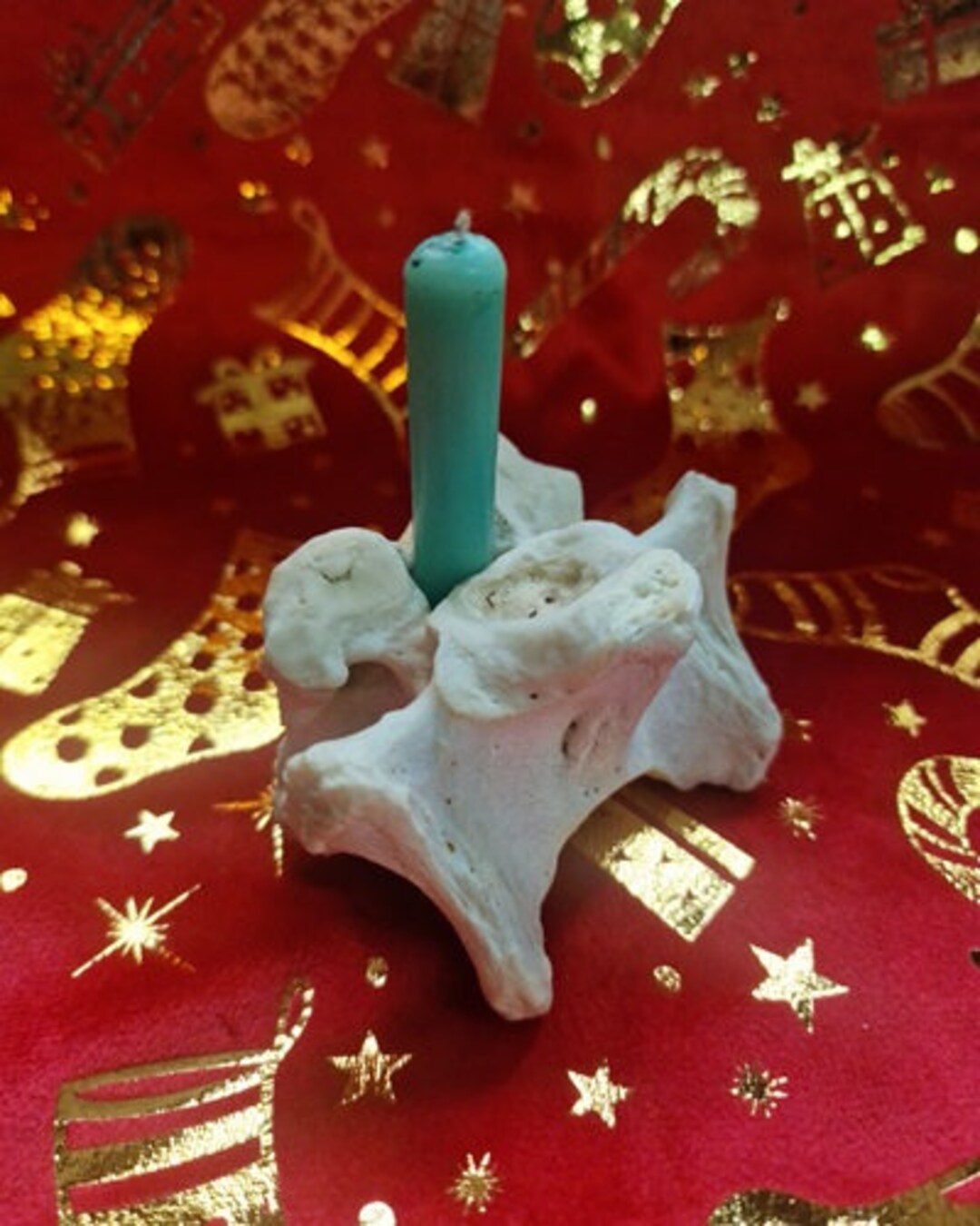 An Authentic SHEEP VERTEBRAE Spell Candle Holder, Curiosities - Etsy