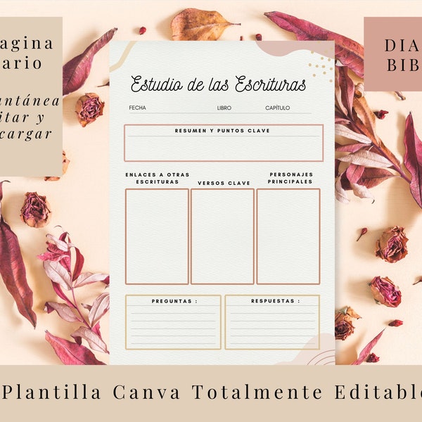 Guía De Estudio En Español - Etsy