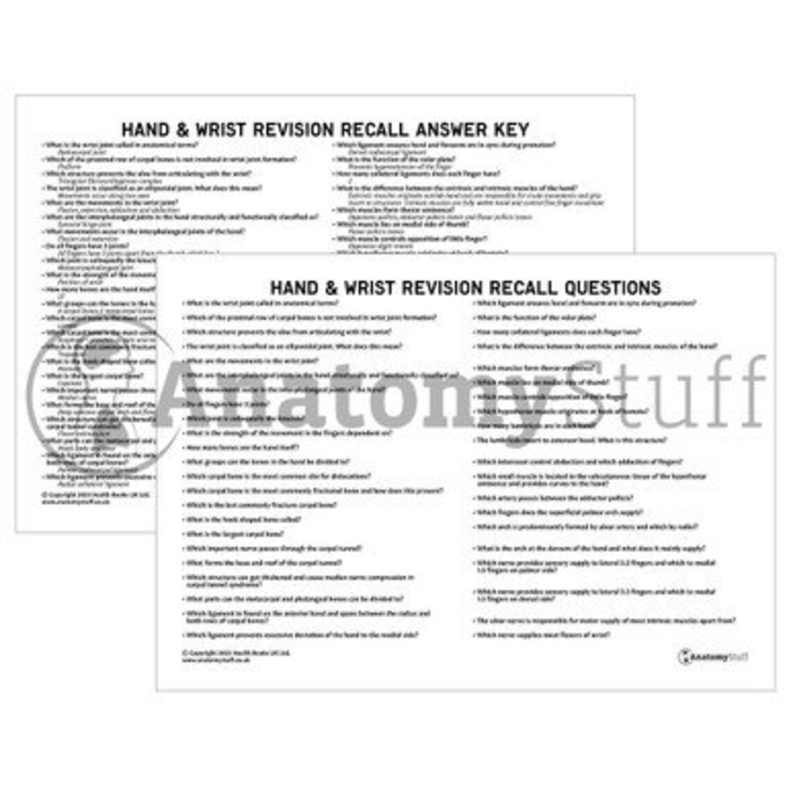 Hand & Wrist Anatomy Revision Worksheets (interactive and Printable ...