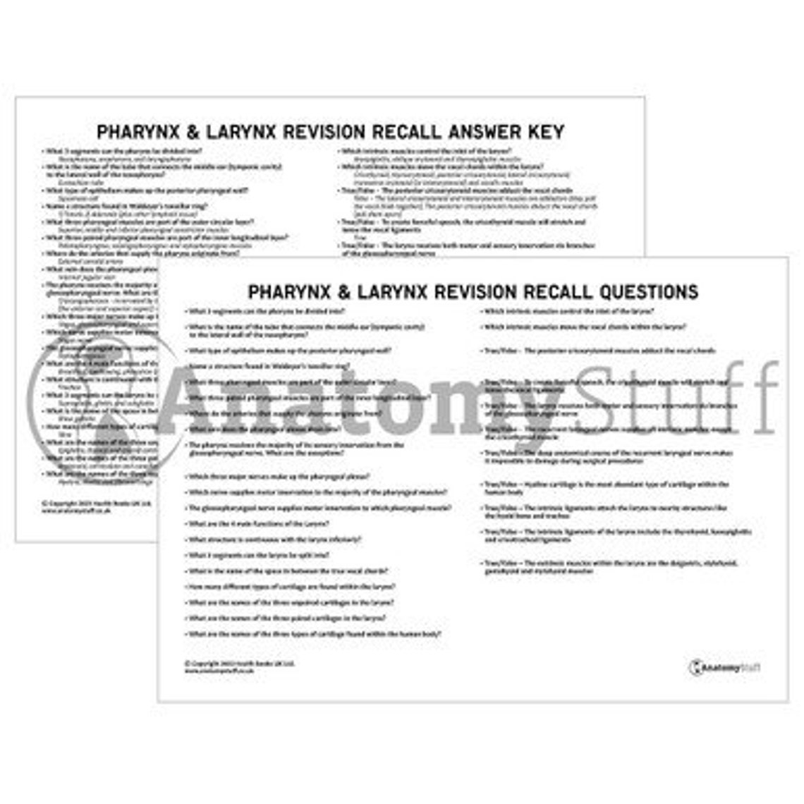 Pharynx & Larynx Anatomy Revision Worksheets (interactive and Printable ...