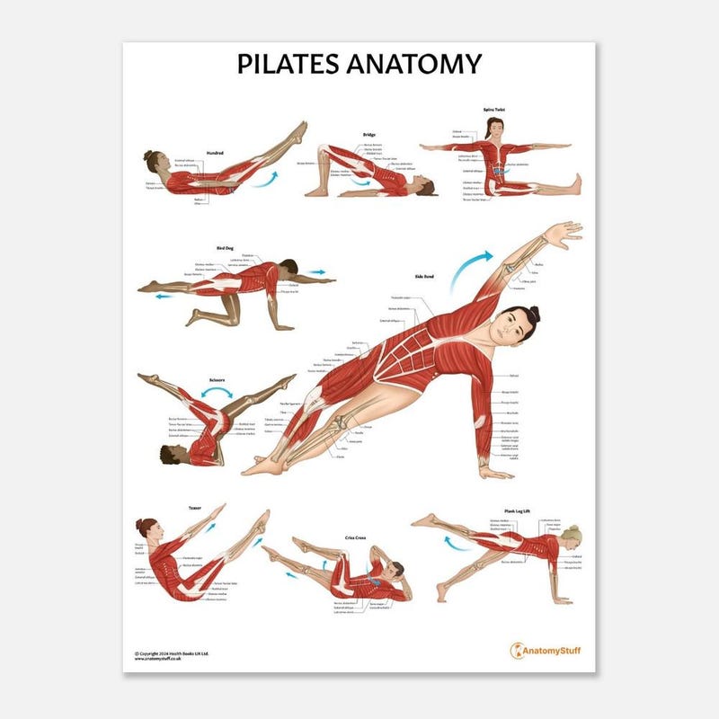 Wall Pilates Poster - Etsy
