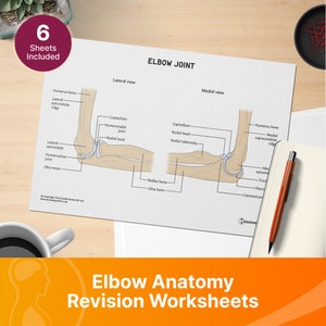 Elbow Anatomy Revision Worksheets (interactive and Printable Pdfs) - Etsy