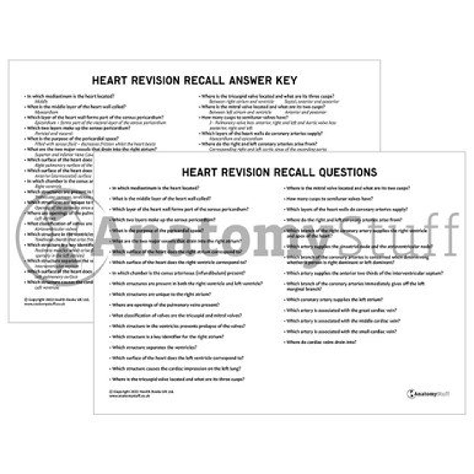 Heart Anatomy Revision Worksheets Interactive And Printable Pdfs Etsy