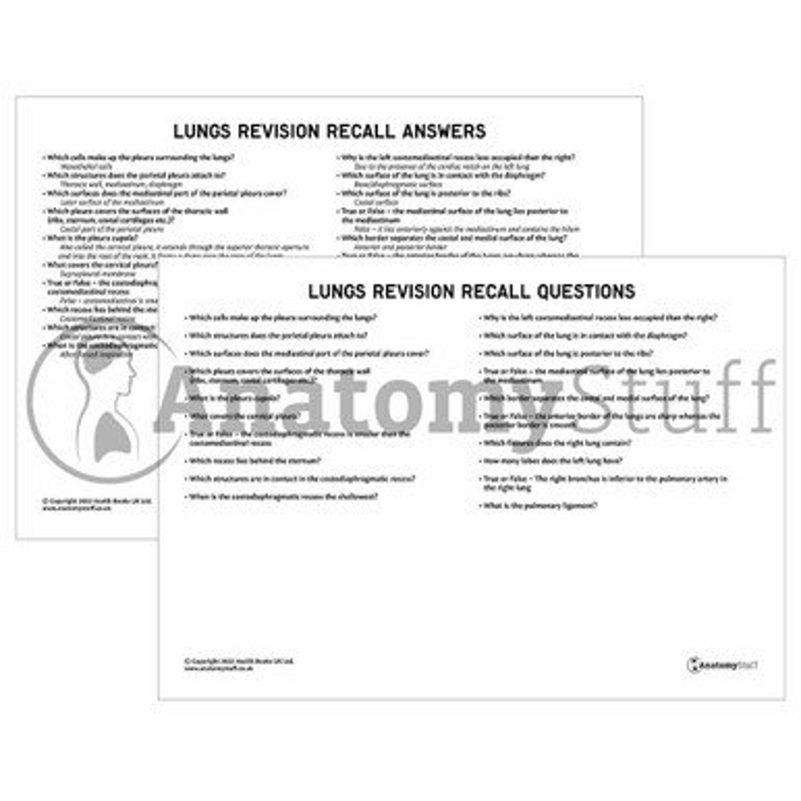 Lung Anatomy Revision Worksheets (interactive and Printable Pdfs) - Etsy