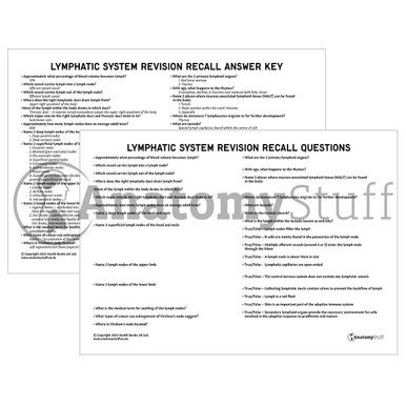 Lymphatic System Anatomy Revision Worksheets interactive and Printable ...