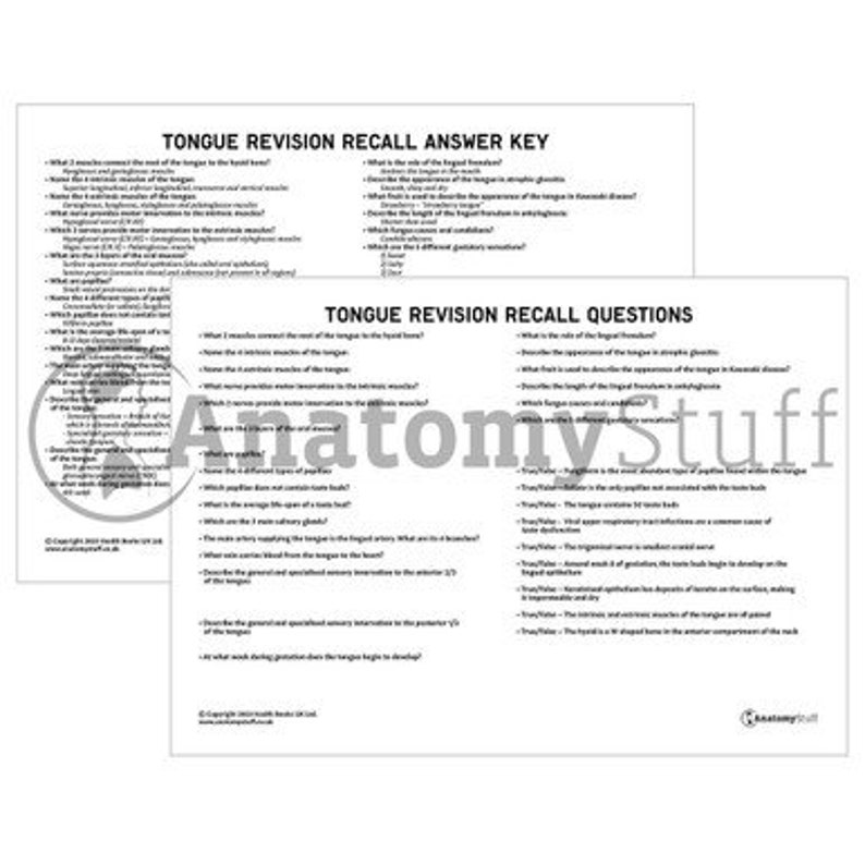 Tongue Anatomy Revision Worksheets (interactive and Printable Pdfs) - Etsy
