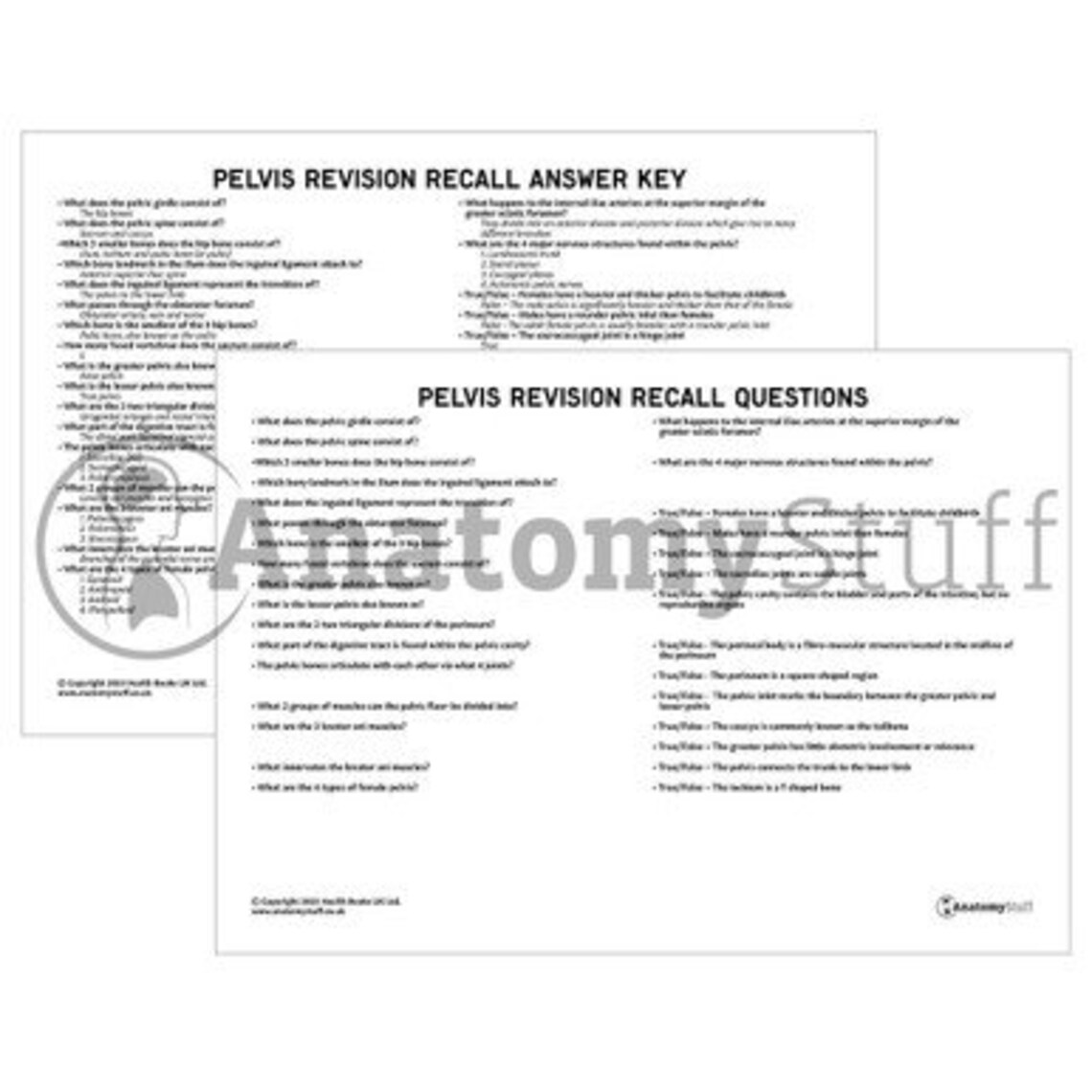 Pelvis Anatomy Revision Worksheets (interactive and Printable Pdfs) - Etsy