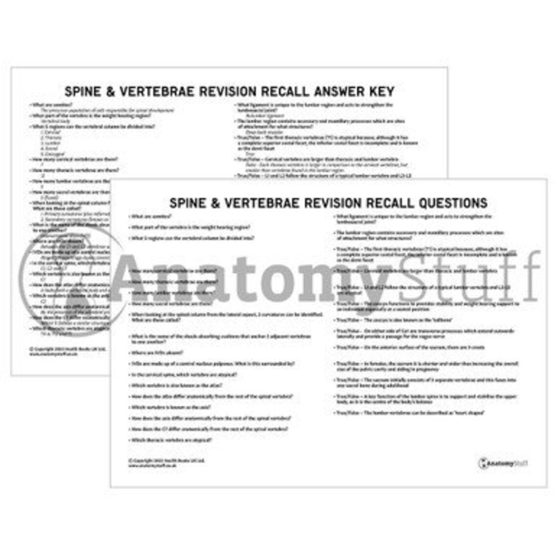 Spine & Vertebrae Anatomy Revision Worksheets (interactive and ...