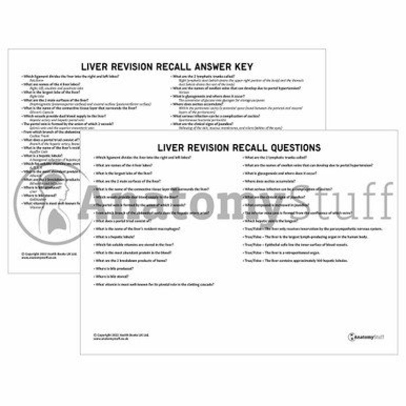 Liver Anatomy Revision Worksheets (interactive and Printable Pdfs) - Etsy