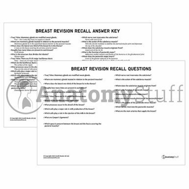 Female Breast Anatomy Revision Worksheets (interactive and Printable ...