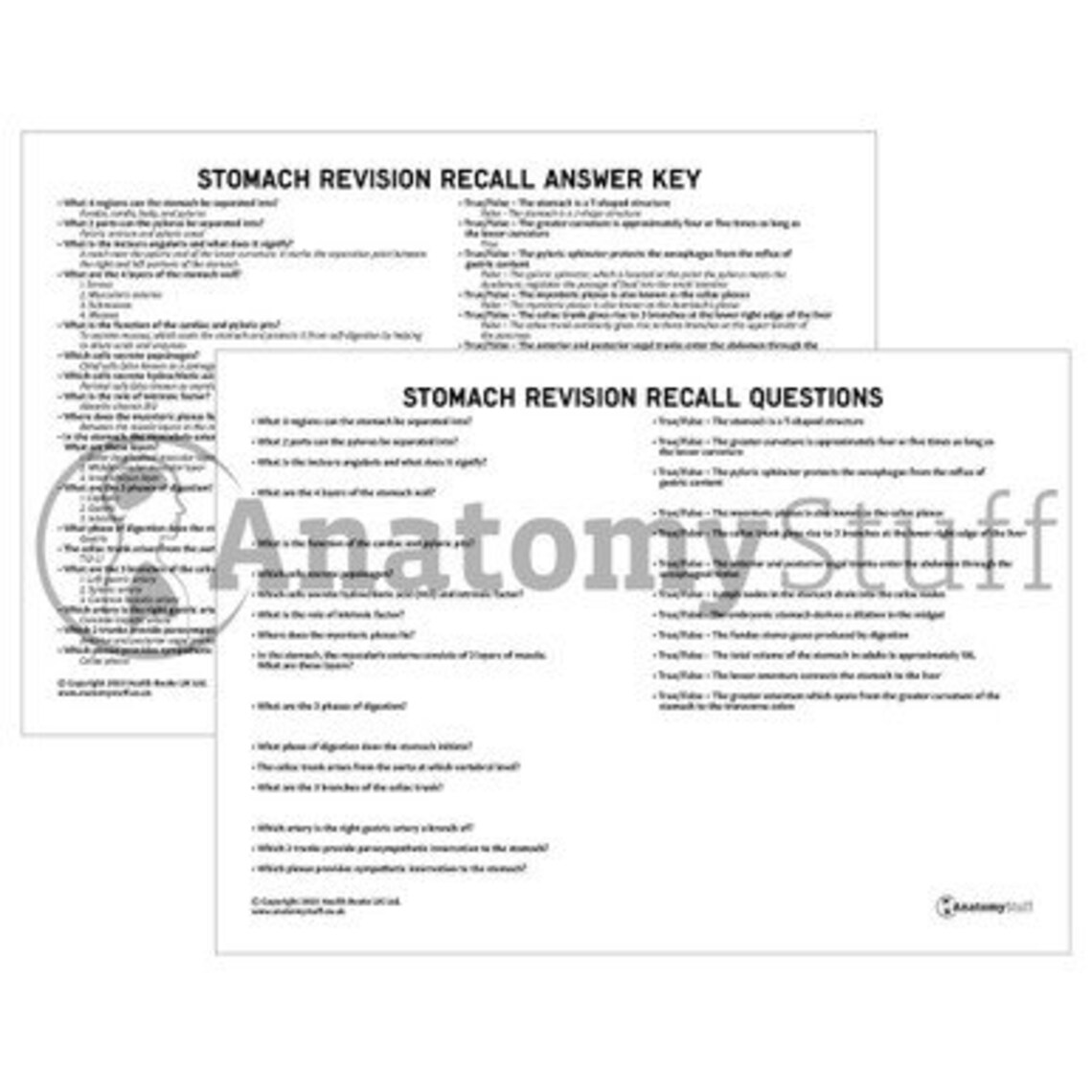 Stomach Anatomy Revision Worksheets interactive and Printable Pdfs - Etsy