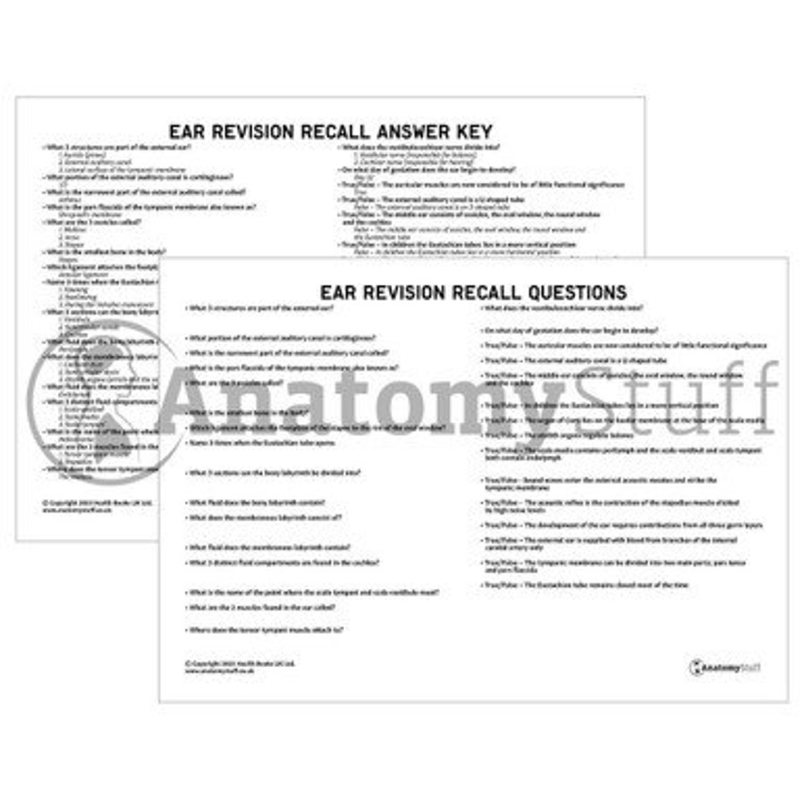 Ear Anatomy Revision Worksheets interactive and Printable Pdfs - Etsy