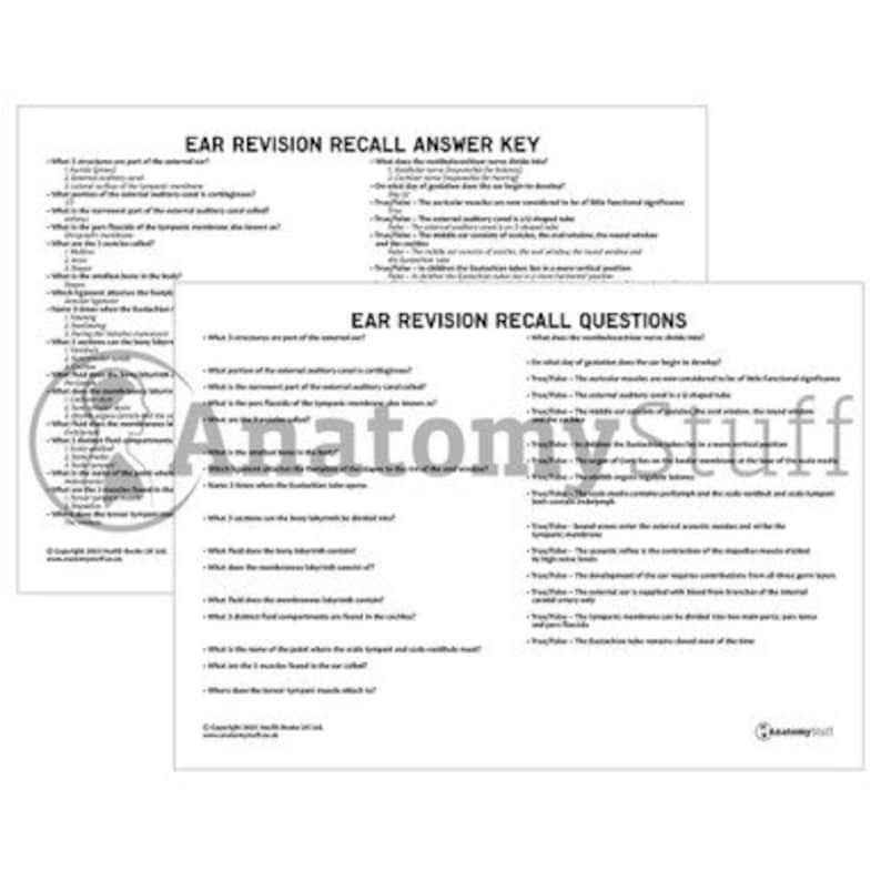 Ear Anatomy Revision Worksheets (interactive and Printable Pdfs) - Etsy