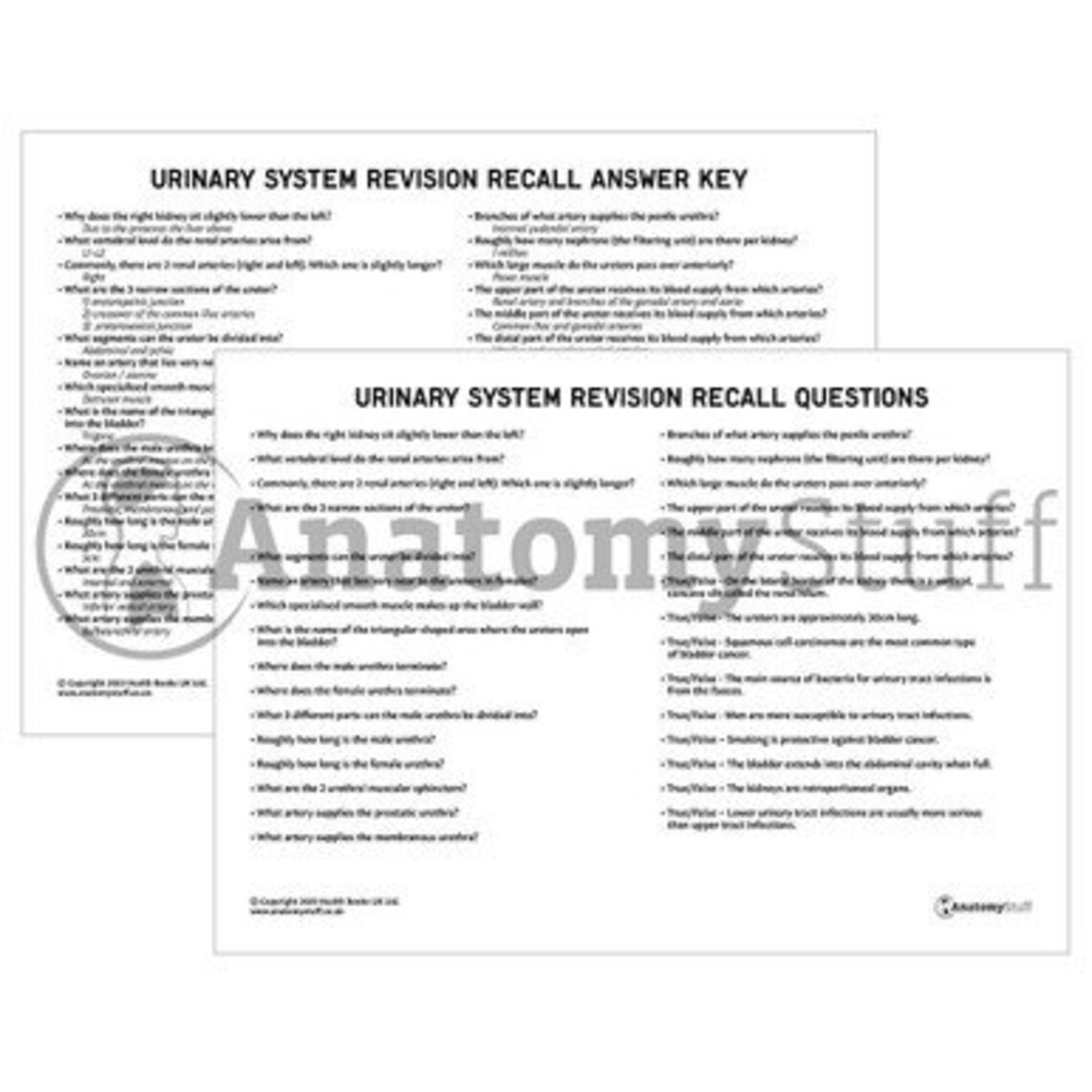 Urinary System Anatomy Revision Worksheets interactive and Printable ...