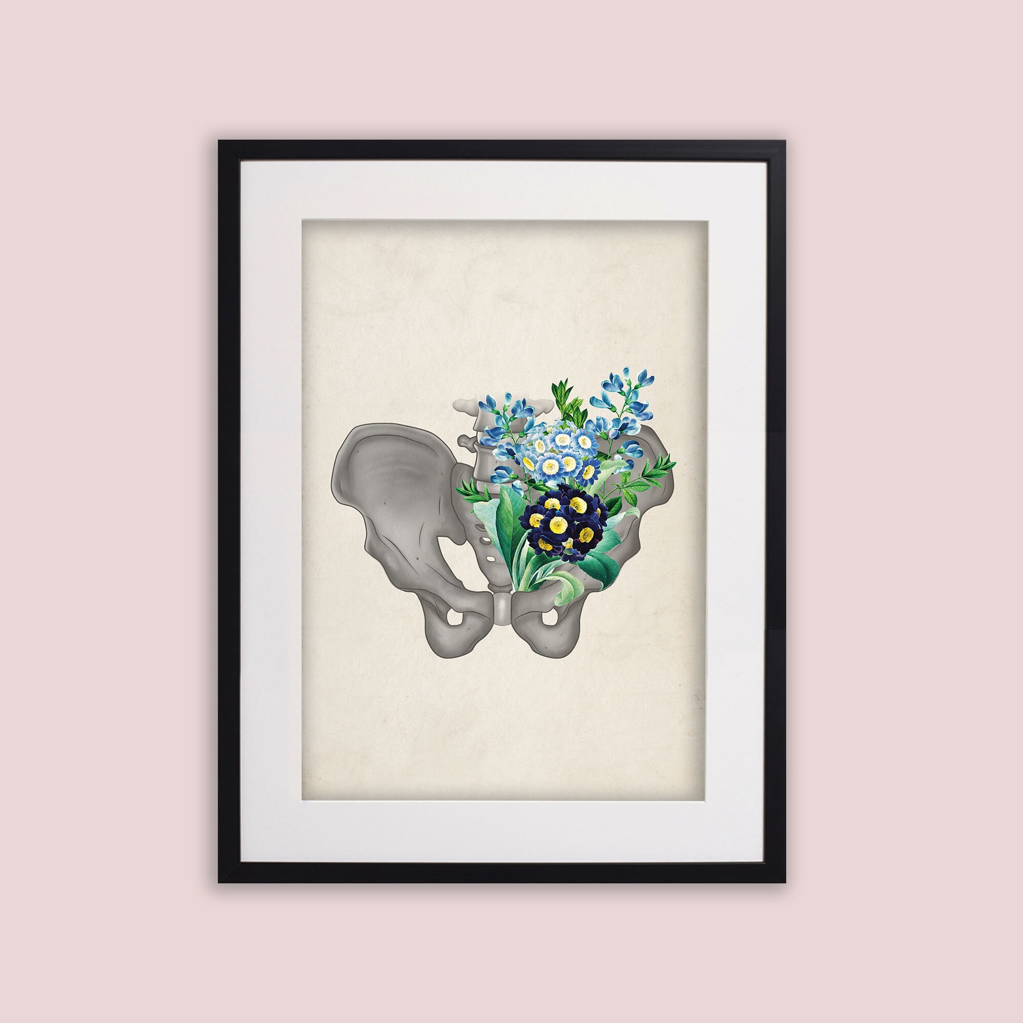 Vintage Floral Pelvis Anatomy Fine Art Print Pelvis Anatomy - Etsy UK