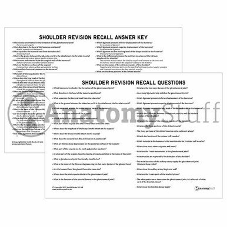Shoulder Anatomy Revision Worksheets (interactive and Printable Pdfs ...