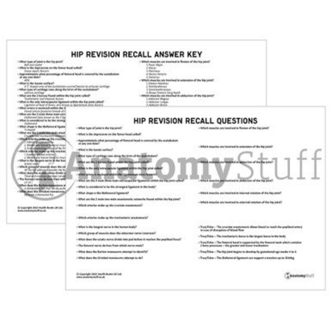 Hip Anatomy Revision Worksheets (interactive and Printable Pdfs) - Etsy