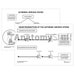 Autonomic Nervous System Anatomy Revision Worksheets (interactive and ...